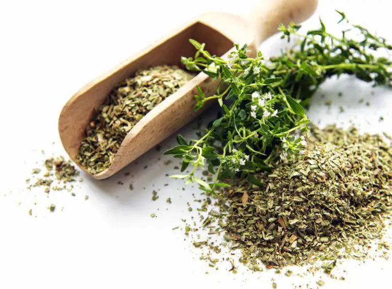 How To Store Fresh Thyme: All The Answers - Gardening Chief